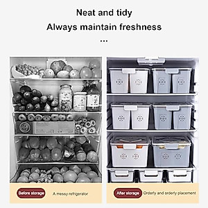 Quincry Fridge Organizer with Lids，Stackable Refrigerator Organizer Bins, Removable Containers for Food and Storage，For Fruit,Refrigerator Tissue,Vegetables,Food And Beverages (4 Compartments-White)