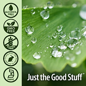 Nature's Answer Alcohol-Free Ginkgo Leaf 2000mg 2oz Extract | Stimulates Memory, Mood & Concentration | Gluten-Free, Kosher Certified & No Preservatives | Single Count