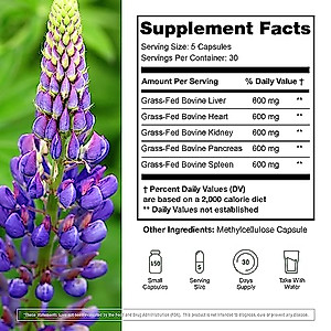 KTD BIOLABS Grass Fed Beef Organs Supplement - Made in USA - Grass Fed Organ Complex with Desiccated Beef Liver, Heart, Kidney, Pancreas, Spleen for Energy, Immune & Digestive Health - 150 Capsules