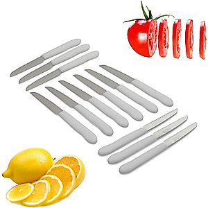 KitchenGear 12 Pcs Fruit Paring Knives - Knife Set of 12 - Small Kitchen Fruit Slicing Peeling Vegetable Tomato Knife 3.2" Inch Utility Small Straight Edge Spear Point - Best Gift Set