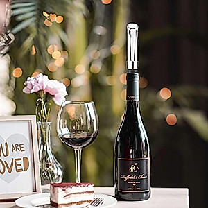 Wine Aerator Pourer - Gifts for Men Dad, Christmas Stocking Stuffers, Unique Gifts, Birthday Ideas for Wine Lover Boyfriend Husband Grandpa Presents