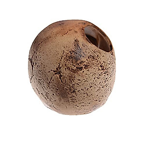 ALEGI Aquarium Decoration Hideaway Rock Cave for Betta Shrimp Cichlid Hiding Breeding Spawning (Ceramic Skull)