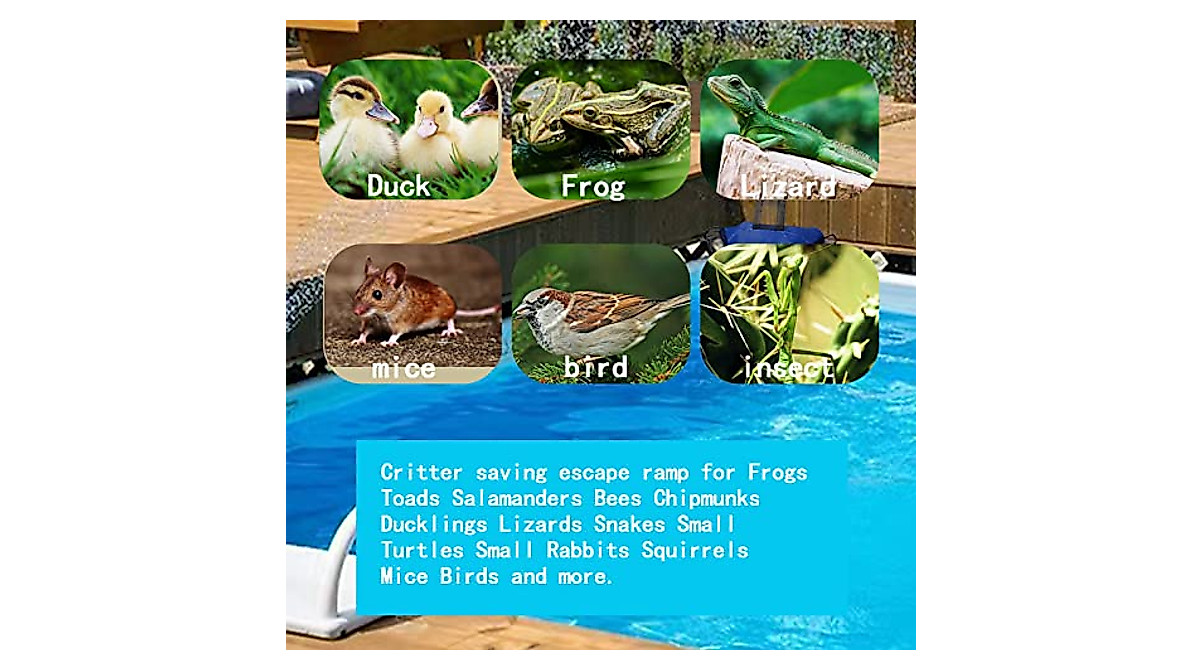 Animal Escape Ramp for Pools - Save Critters Safely
