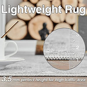 jinchan Area Rug 4x6 Indoor Modern Abstract Rug Grey Accent Rug Kitchen Gray Carpet Foldable Thin Rug Non Slip Contemporary Floor Cover for Living Room Bedroom Dining Room