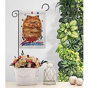 Breeze Decor Patriotic Tan Persian Garden Flag Set Wood Dowel Cat Kitten Meow Spoiled Paw Fur Pet Nature Farm Animal Creature House Banner Small Yard Gift Double-Sided, Made in USA