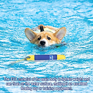 TAILGOO Dog Pool Fetch Toys Interactive Water Floating Toys Outdoor Beach Training Bumpers for Summer, 2 Pack, 10"