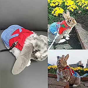 Anelekor Small Pet Costume Rabbit Clothes Ferret Hoodies Sweatshirt Bunny Vest Harness and Leash Set Kitten Sweater Small Animals Outfits for Chihuahua Kitty Mini Dog and Small Breeds (A, S)
