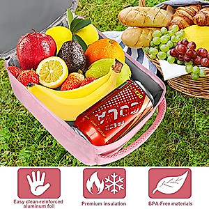 Spoilu lunch Box for Kids, School Insulated Lunch Bags for Boys and Girls - Double Insulated, Durable, Water-Resistant Fabric, Rabbit