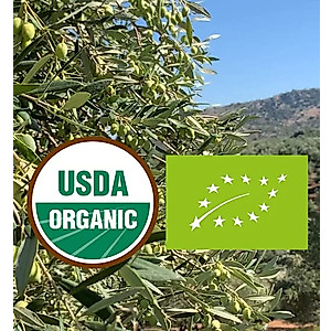 Spanish Organic Extra Virgin Olive Oil First Cold Pressed One Tin Can 33.8 Fl.Oz. (1L) Product of Spain