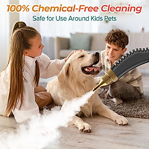 AUXCO 2500W Steam Cleaner, High Pressure Steamer for Cleaning, Portable Handheld Steam Cleaners for Home Use, Steamer for Car Detailing, Steam Cleaner for Upholstery, Kitchen, Bathroom, Grout and Tile