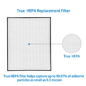Bibolic AD3000 Replacement Filter Kit Fit for Series Air Purifier, Includes 1 True HEPA Filter, 2 Carbon Filters and 6 Extra Pre-Filters, Part ADF3001 ADF3002 + Pre-Filter