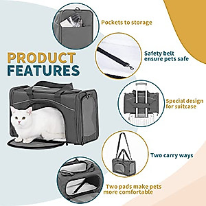 Petsfit Two-Way Placement Dog Carrier Cat Carrier, 19"x 12"x 9" Soft-Sided Airline Pet Carrier for Kittens, Puppies up to 15 Lbs, Gray