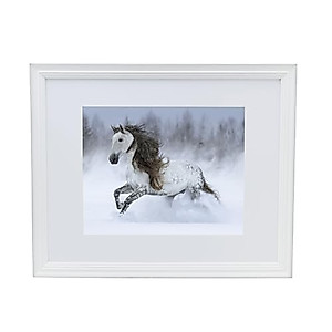 Studio Nova Picture Frame Displays 11 x 14 Photos 16 x 20 Without Mat, 16x20-Matted 11x14, White (5278448)