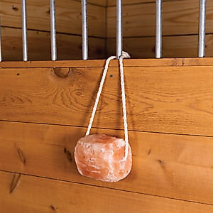 Schneiders Himalayan Horse Rock Salt Lick | Natural Mineral Source | Assures Balanced Mineral Intake | Boredom Reliever | Various Weights on Rope | 6.6 lbs w/Rope