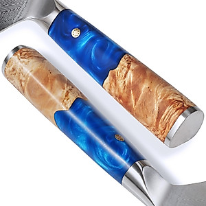 SAMCOOK Chef Knife - 8 Inch 67 Layer Forged Damascus Japan VG-10 Stainless Steel Kitchen Knives Blue Resin Wood Handle High Strength And Good Toughness Razor Sharp Cutting Meat
