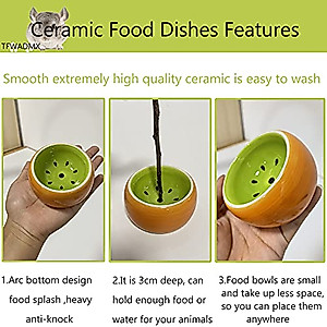 Hamster Bowl, Ceramic Guinea Pig Water Bowl Small Animal Food Dish for Syrian Hamster Rabbit Gerbil Chinchilla Hedgehog Sugar Glider Rat (2 Pcs)