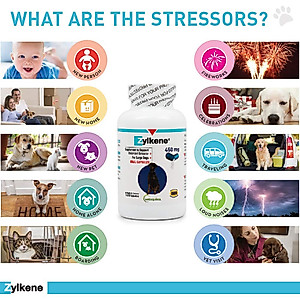 Vetoquinol Zylkene Calming Support Supplement for Large Dogs 33-132lbs, Helps Promote Relaxation and Reduce External Stress Factors, Daily Behavioral Support and Anxiety Relief for Dogs, 450mg