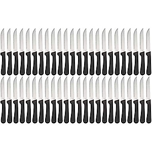 Tezzorio (Set of 48) Serrated-Edge Pointed-Tip Steak Knives, 5-Inch Stainless Steel Blade Steak Knives with Plastic Handles for Restaurants