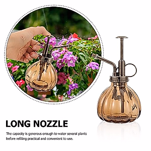 SAFIGLE Watering can Plants Spray Mister Glass Mister Spray Bottle Water Spritzer for Plants Succulent Accessories Succulent Watering Bottle for Home Balcony Glass Spray Bottle