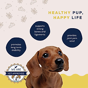 Dog Advanced Hip and Joint Powder by Good Trouble Pets - Joint Supplement for Dogs with Vitamins, Supports Healthy Joints and Prevents Arthritis in Dogs, Puppy Vitamins and Supplements (4.8 oz, Beef)