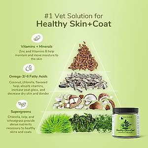 kin+kind Superfood Supplement Set for Dogs & Cats, Boost Immunity, Promotes Healthy Skin & Coat, Hip & Joint, Healthy Digestion, Made in USA, Small 4 Ounce (Pack of 4)