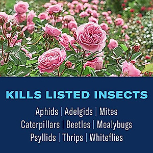 BioAdvanced All-In-One Rose & Flower Spray, Ready-to-Spray, 32 oz