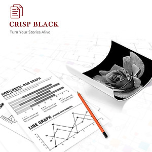 Toner Kingdom Compatible Toner Cartridge Replacement for HP 94A CF294A to Use with HP M118dw MFP M148dw M148fdw M149fdw M148 M118 M149 Toner Printer (Black, 2 Pack)