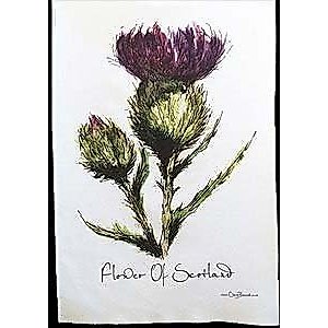 Clare Baird Creations Flower of Scotland Tea Towel in a Scottish Thistle Design