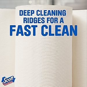 Scott Paper Towels, Choose-A-Sheet, 6 Double Rolls = 12 Regular Rolls (100 Sheets Per Roll)