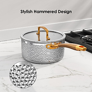 Homaz life 3-Quart Saucepan with Tempered Glass Lid, Tri-Ply Stainless Steel Cookware, Induction Ready, Compatible with All Cooktops, Dishwasher Safe, Non-Toxic, Gold-Colored Stay-Cool Handle