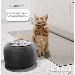Nugget Lite Pet Water Fountain | 2.5 L Drinking Fountain for Cats and Dogs (Black)