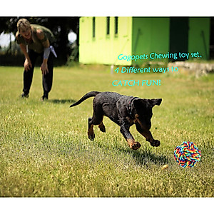 GOGOPETS Dog Chew Toys Rope - Colorful Rope Puppy Chew Toys Washable Cotton Rope Toys Set for Small Dog Puppy Pet（4 Packs/Set）