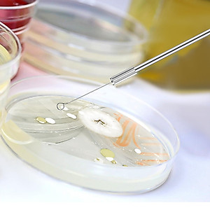 2 Pieces Inoculation Loop Mycology Reusable Supplies Inoculation Loop Kit with 70 Replaceable Chromium Alloy Needle Tip Inoculation Loops for Kit Laboratory Research Tools