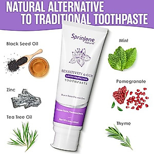 SprinJene Natural SLS Free Sensitive Toothpaste for Cavity Protection & Sensitive Teeth & Gum with Fluoride Fresh Breath Helps Dry Mouth 1 Pack (Improved)