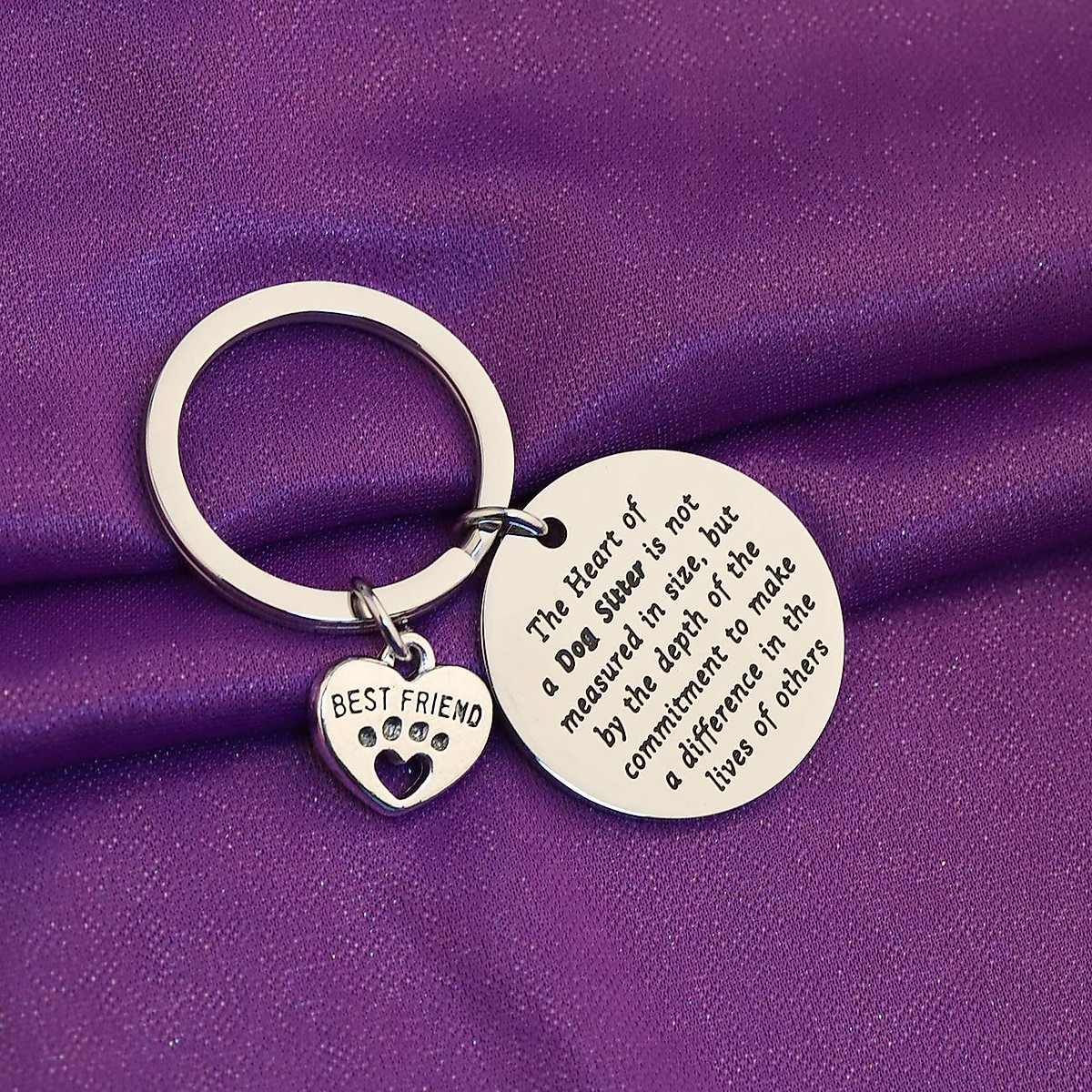 LQRI Dog Sitter Gift Pet Sitter Gift Dog Sitter Thank You Gift The Heart of a Dog Sitter is Not Measured in Size Appreciation Keychain for Dog Walker Dog Babysitter Pet Caretaker (sliver)
