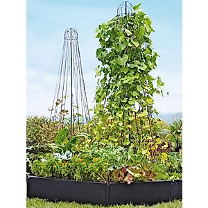Gardeners Supply Company Garden Maypole Plant Support Structures | Elegant Garden Trellis Support for Climbing Plants Vegetables and Vines | Easy to Set up & Space Saver Pole Bean Trellis - 83-1/2" H