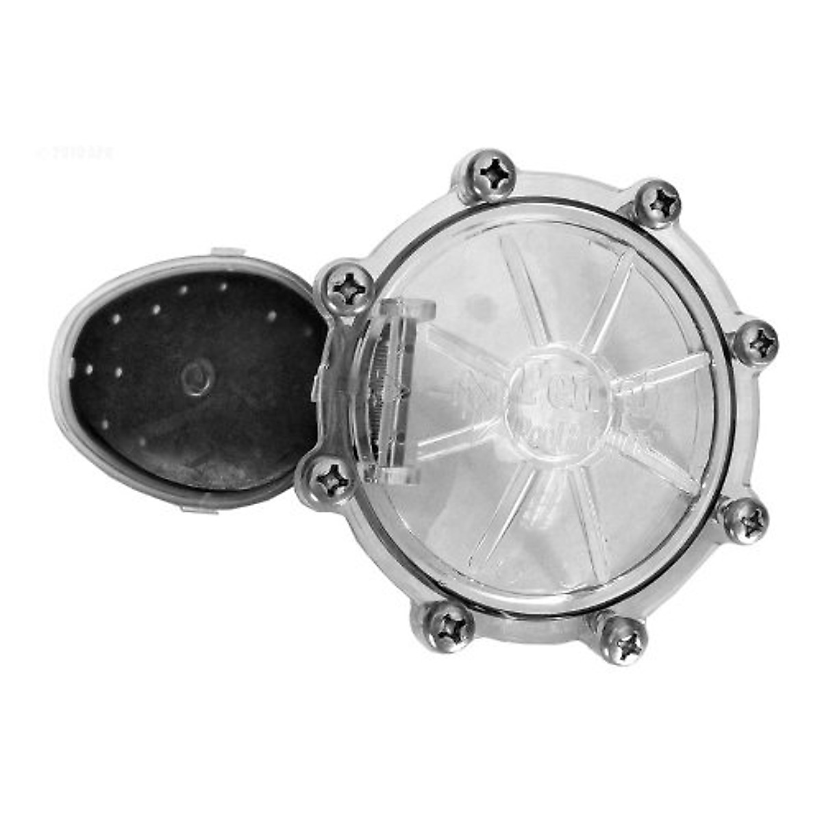 Pentair 263042Z CPVC 2 Inch 2 Way Pool Spa Check Valve Diverter Replacement Kit - 1