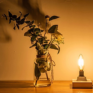 SHUWDKAR 2W LED Candelabra Bulb 25W Equivalent E12 Dimmable LED Bulbs Clear Filament Vintage Home Decoration Candle Light Bulbs B11 2700K Warm White,6 Pack