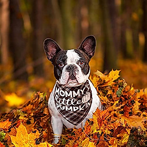 2 Pack Thanksgiving Dog Cat Bandana, Fall Autumn Buffalo Bandana for Small Medium Large Dogs Pets Puppies (Pattern 1, Large)