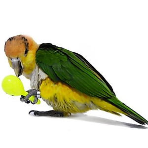 3PCS- Colourful Mini Ball Sand Hammer Parrot Rattle Shaker Musical Sound Toy Intelligent Sand Hammer Toys for Parakeets Canaries Cockatiels Conure Lovebirds(Random Color)