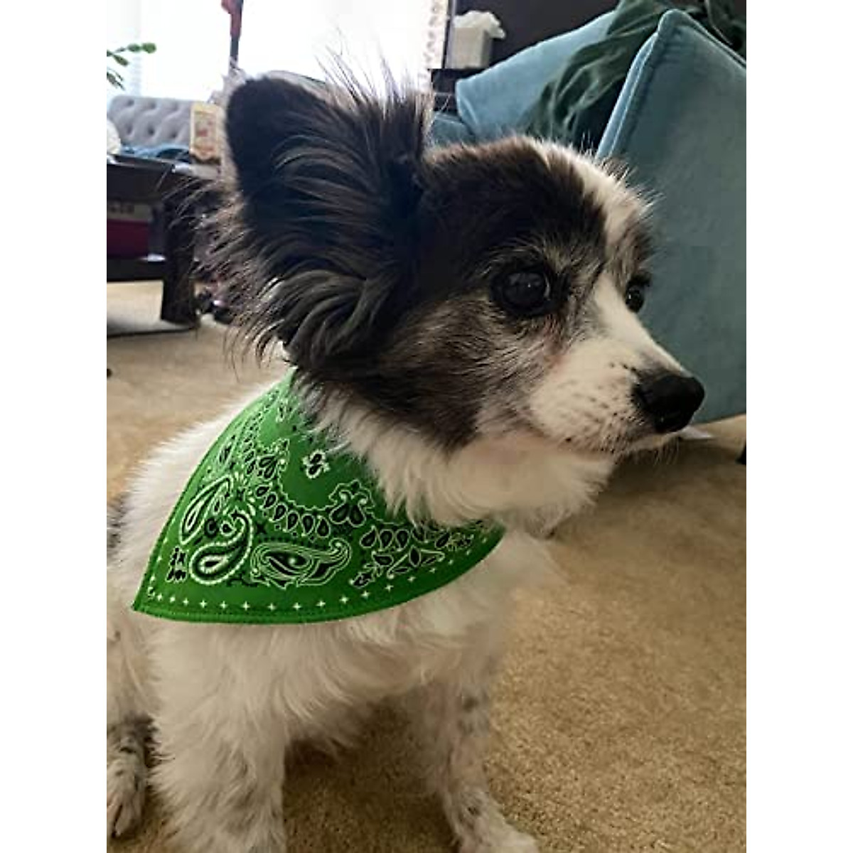 Maiwa 10 Pack Baby Triangle Bandana Bibs for Boys Girls for Drool Teething Eating with Snaps