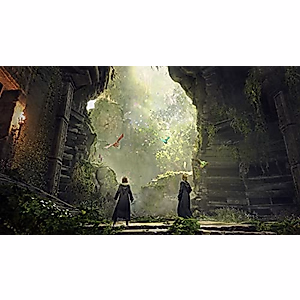 Hogwarts Legacy Collector's Edition - PlayStation 5