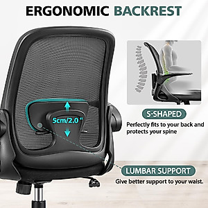 Winrise Office Chair Ergonomic Desk Chairs with Lumbar Support and Flip-up Arms, Comfortable Breathable Mesh Computer Executive Chair with Swivel Task, Adjustable Height 4'', Home - Black