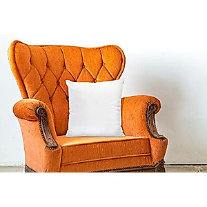 Pal Fabric Set of Two 14x14 White Cotton Feel Microfiber Square Sham Euro Sofa Bed Couch Decorative Pillow Insert Form Fill Stuffer Cushion Made in USA for Pillow Cover or Case (Set of 2-14x14)