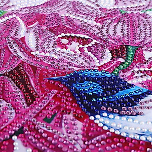 HAPPIShare Diamond Painting Kits for Adults – 5D DIY Diamond Number Kits with Full Drill – Crystal Rhinestone Diamond Embroidery Paintings Great for Home, Office, Wall Deco