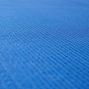 Sunny Health and Fitness Yoga Mat (Blue), Model:31