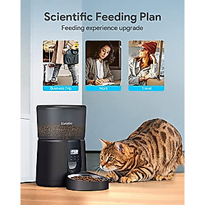Automatic Cat Feeders,Katalic Clog-Free 4L Cat Food Dispenser with Sliding Lock Lid Storage Timed Feeder for Cat and Dogs with Voice Recorder, Programmable Meal & Portion Automatic Feeder (Gray black)