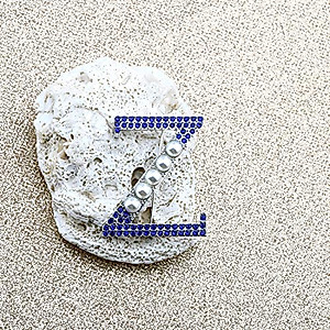 CHOORO Finer 1920 Earrings/Bracelet/Necklace 1920 Greek Sorority Jewelry Gift for Finer Women(Z brooch)