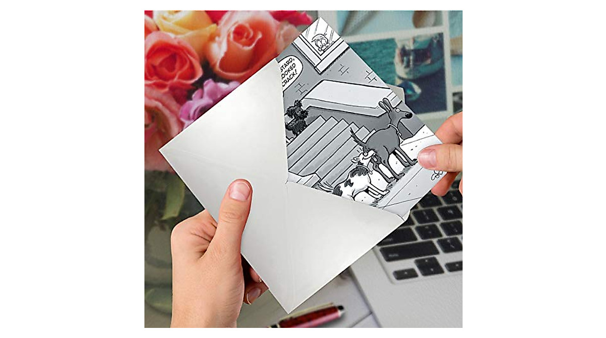 Funny Birthday Greeting Card with Witty Message | NobleWorks