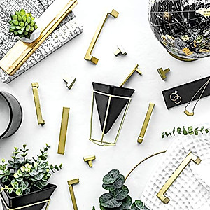 Franklin Brass Asymmetric Notched Cabinet Pull, Brass, 3-3/4 in (96 mm) Drawer Handle, 10 Pack, P40823K-117-C